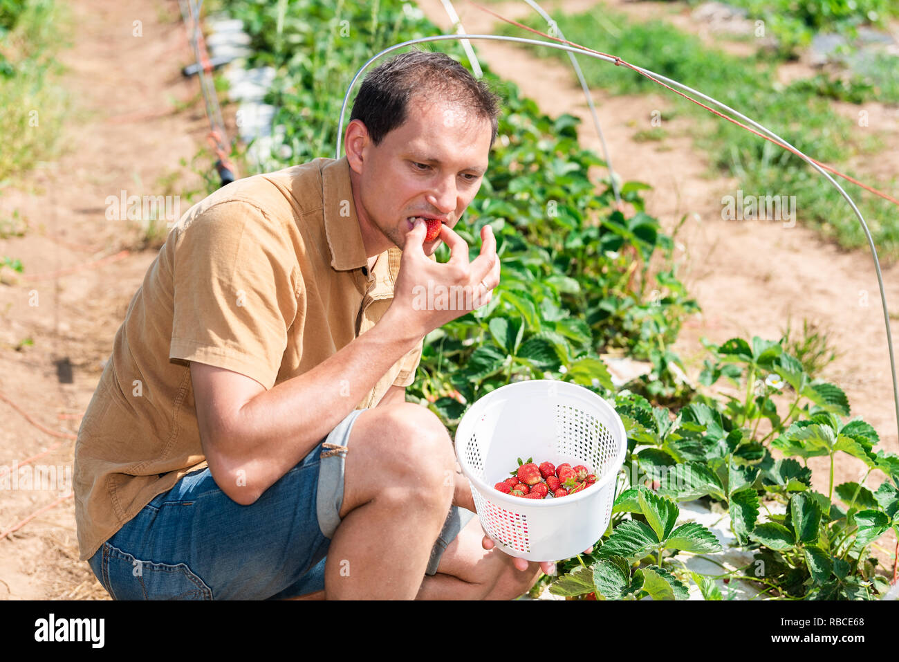 Man carrying bucket farm hi-res stock photography and images - Alamy