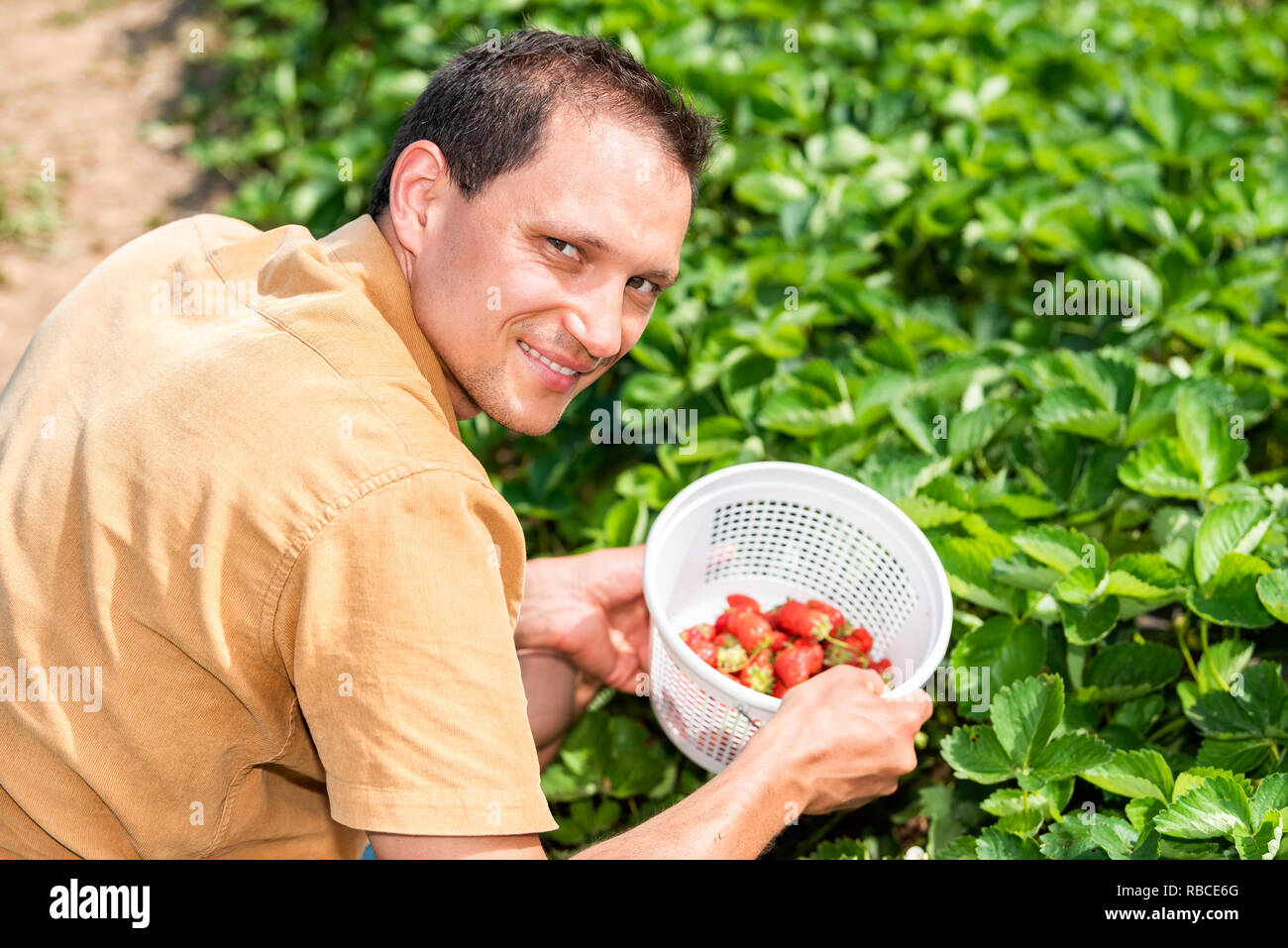 Berries and fruit hi-res stock photography and images - Alamy