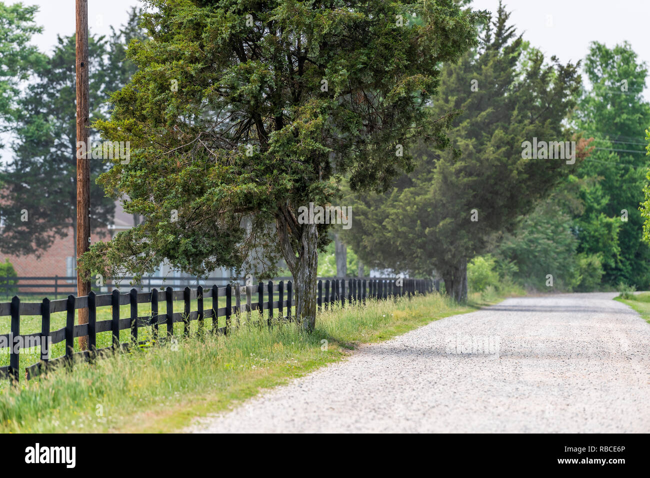 Summer road during day in Virginia rural farm countryside with nobody ...