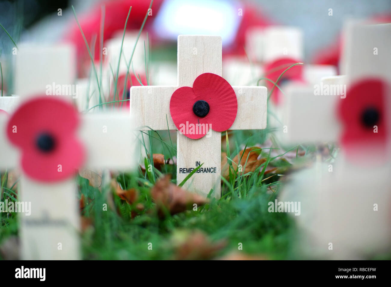 Royal british legion hi-res stock photography and images - Alamy