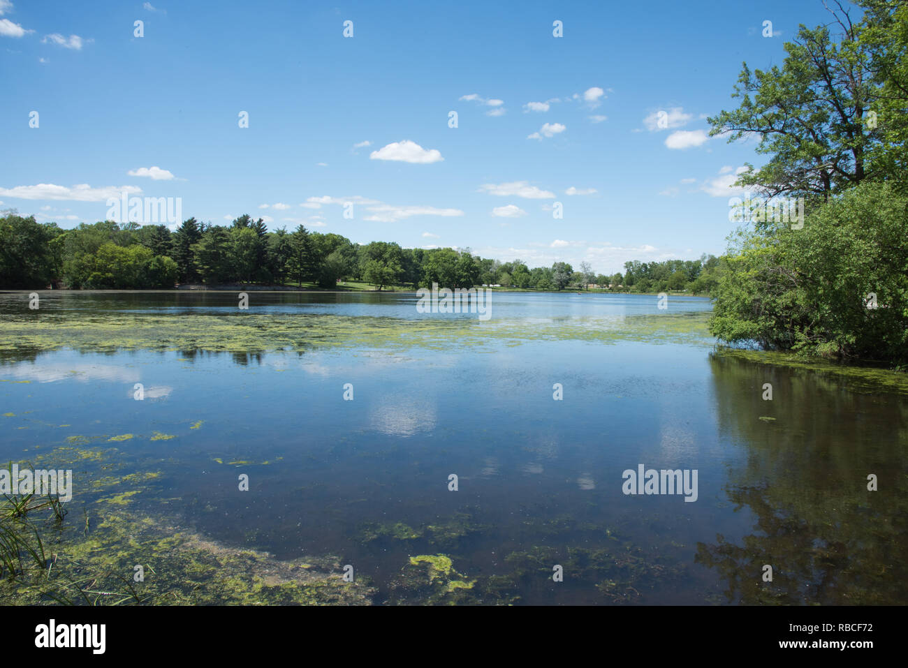 Majestic natural landscape with water reflections at the Herrick Lake ...
