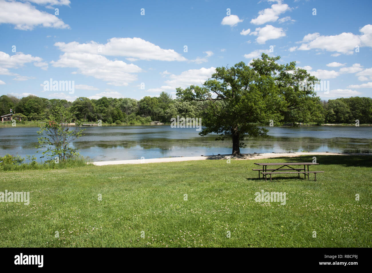 Green landscape with water reflections under a blue sky with clouds at ...