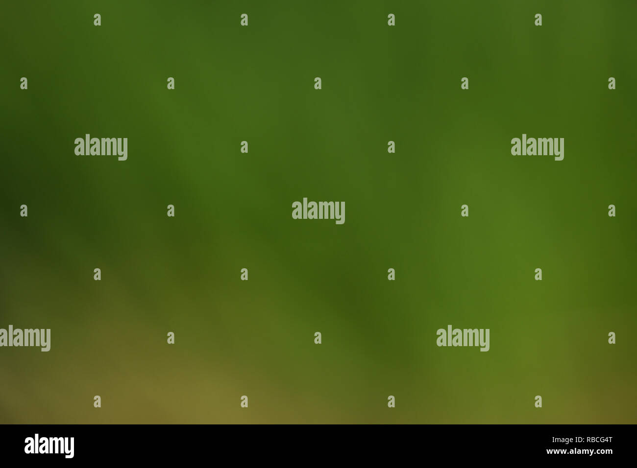 Green based backgrounds Stock Photo - Alamy
