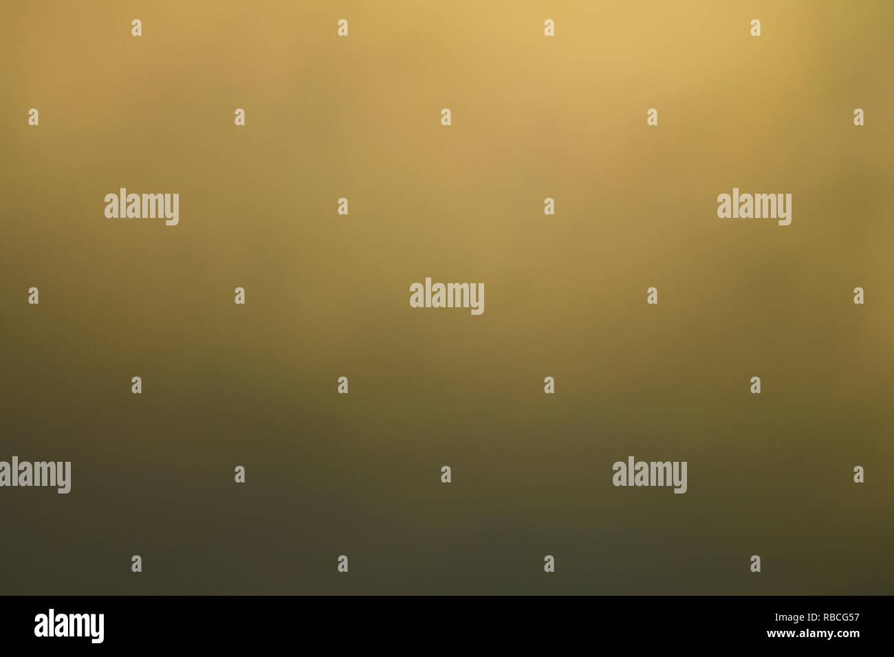 Graduated background dark to light Stock Photo - Alamy