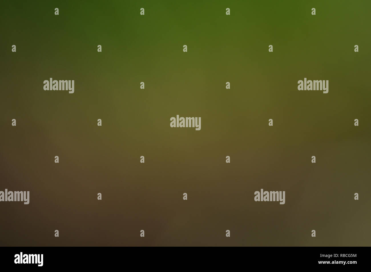 Green based backgrounds Stock Photo - Alamy