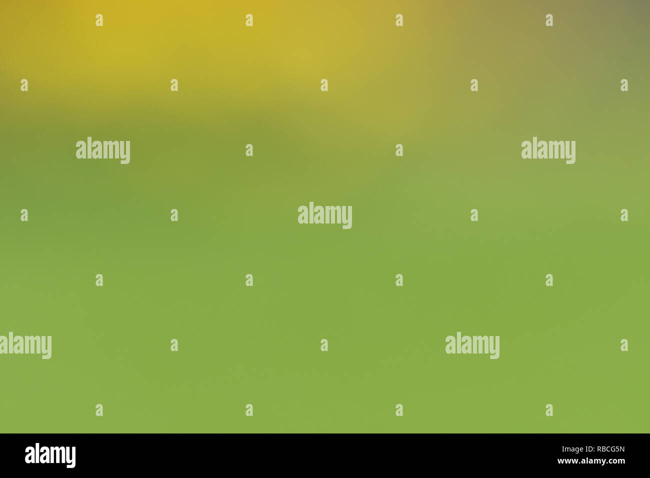 Green based backgrounds Stock Photo - Alamy