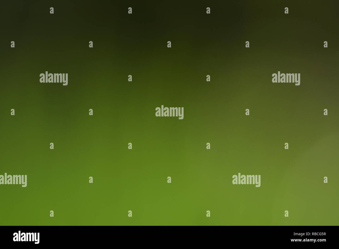 Green based backgrounds Stock Photo - Alamy