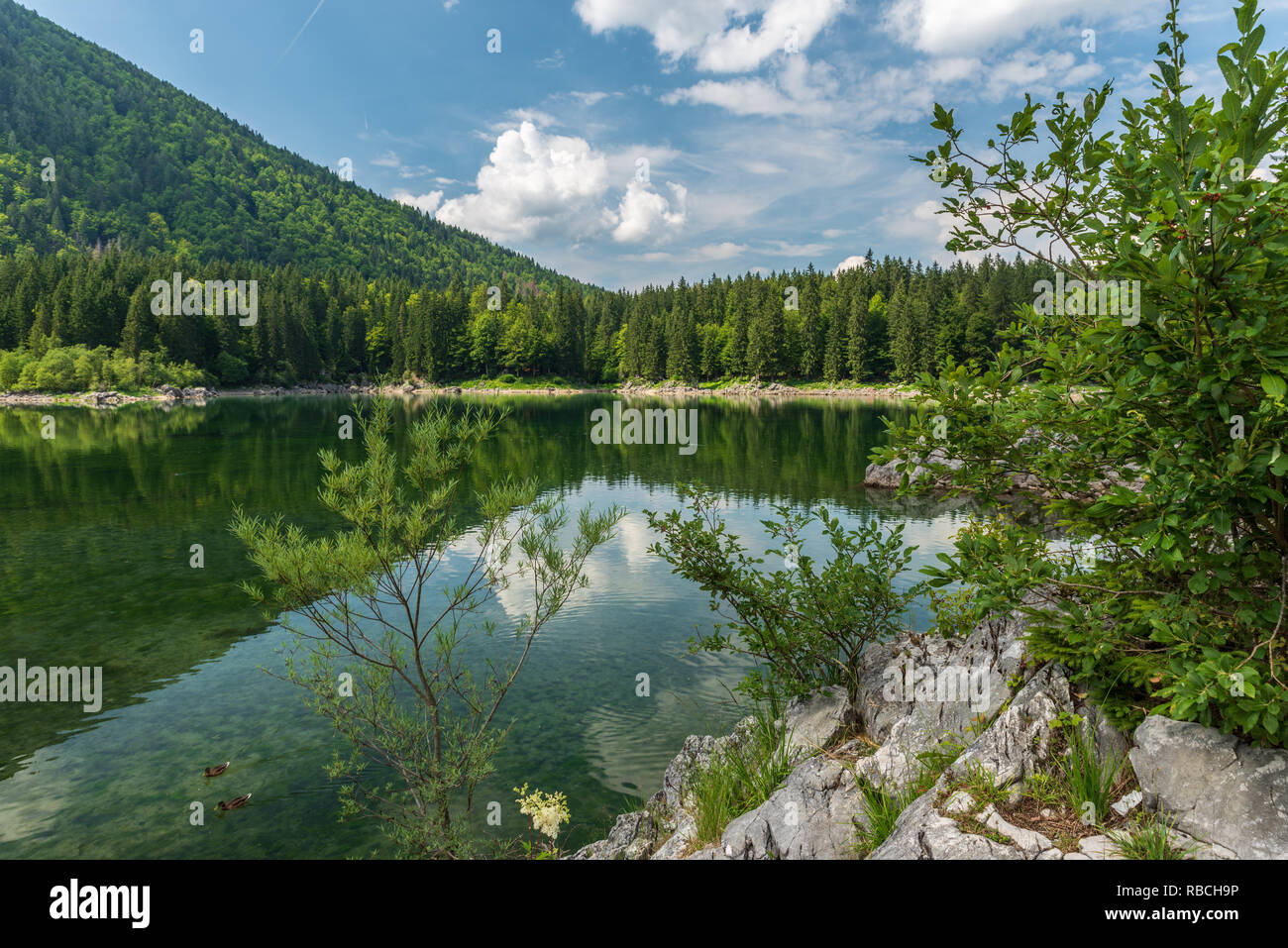 Panorama emerald waters alpine hi-res stock photography and images - Alamy