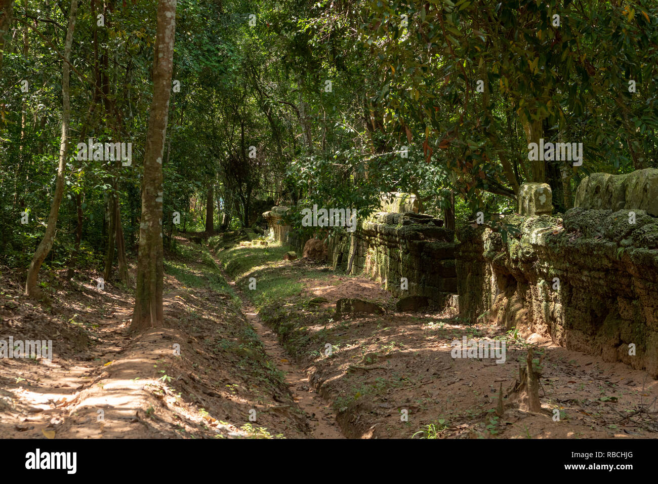 Ancient temple moss covered ruins hi-res stock photography and images ...