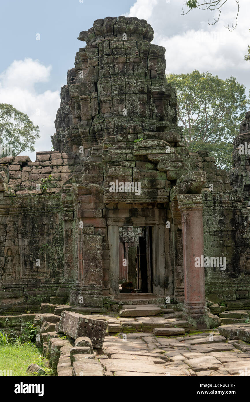 Entrance to ruined stone temple in trees Stock Photo - Alamy
