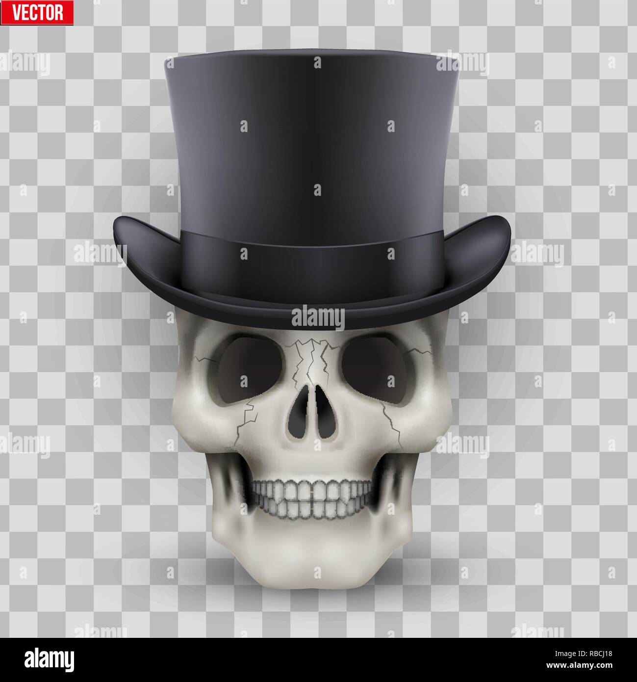 Human skull skeleton head hi-res stock photography and images - Alamy