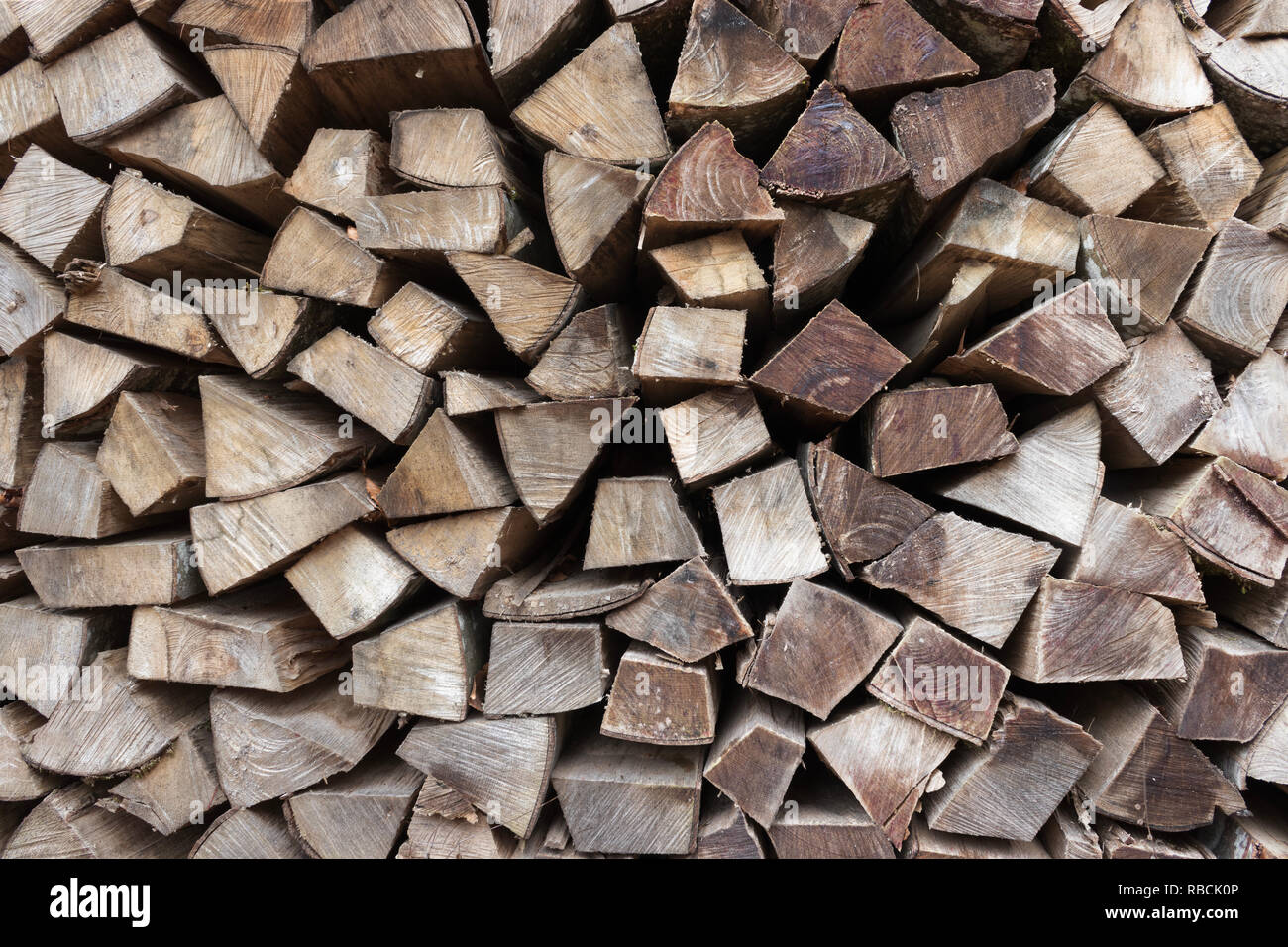 Square tree trunks hi-res stock photography and images - Alamy