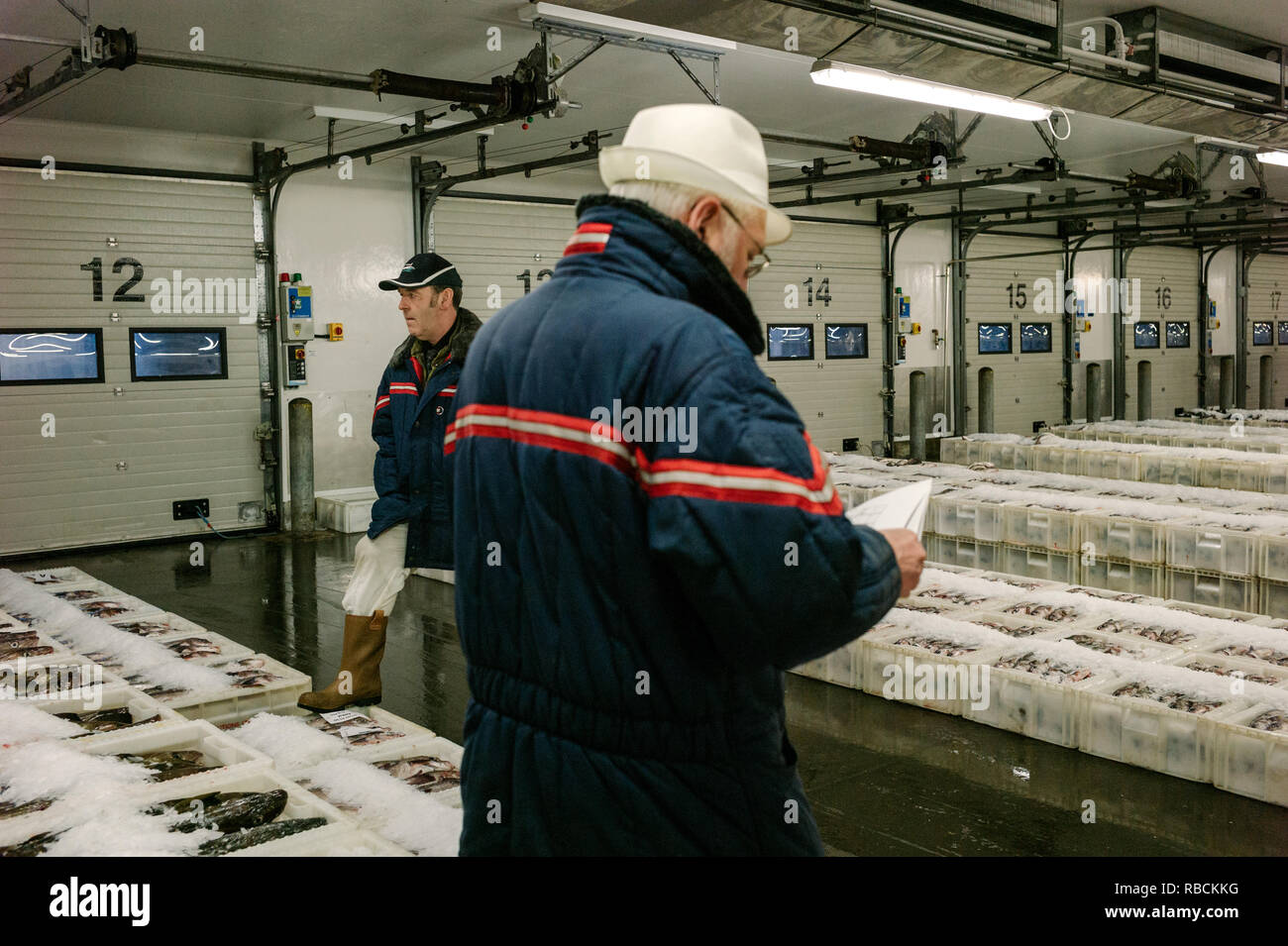 Peterhead fish market hi-res stock photography and images - Alamy