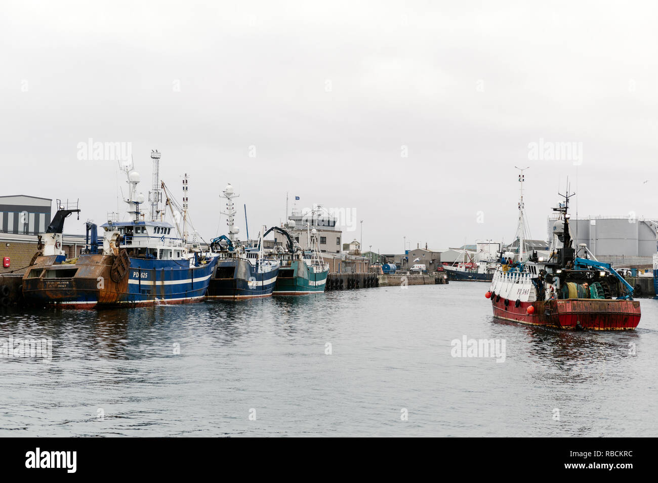Cod white fleet hi-res stock photography and images - Alamy