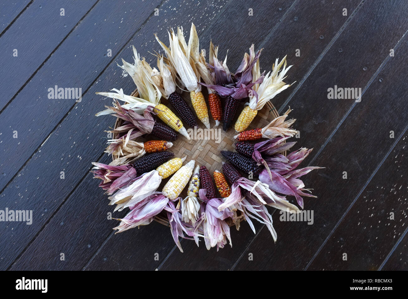 Colorful ears of dried corn at Sakon Nakhon , Thailand Stock Photo - Alamy