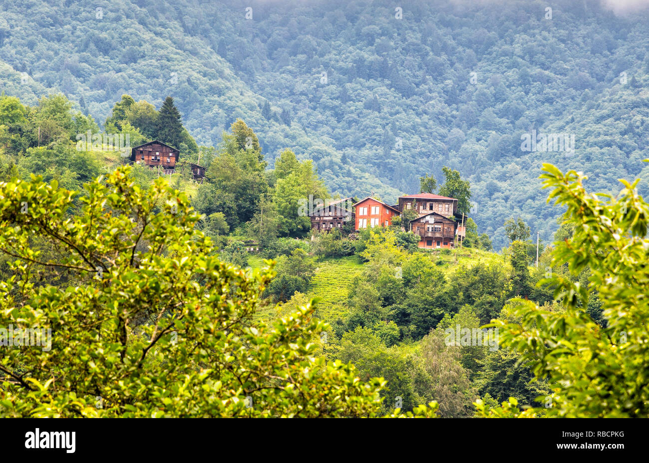 Rize turkey hi-res stock photography and images - Alamy