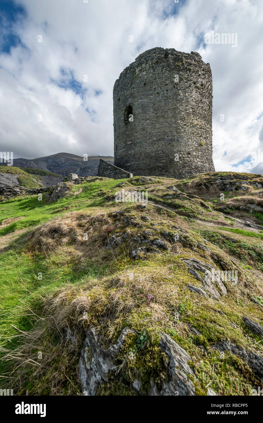 Dolbadarn Castle fortification built by the Welsh prince Llywelyn the ...