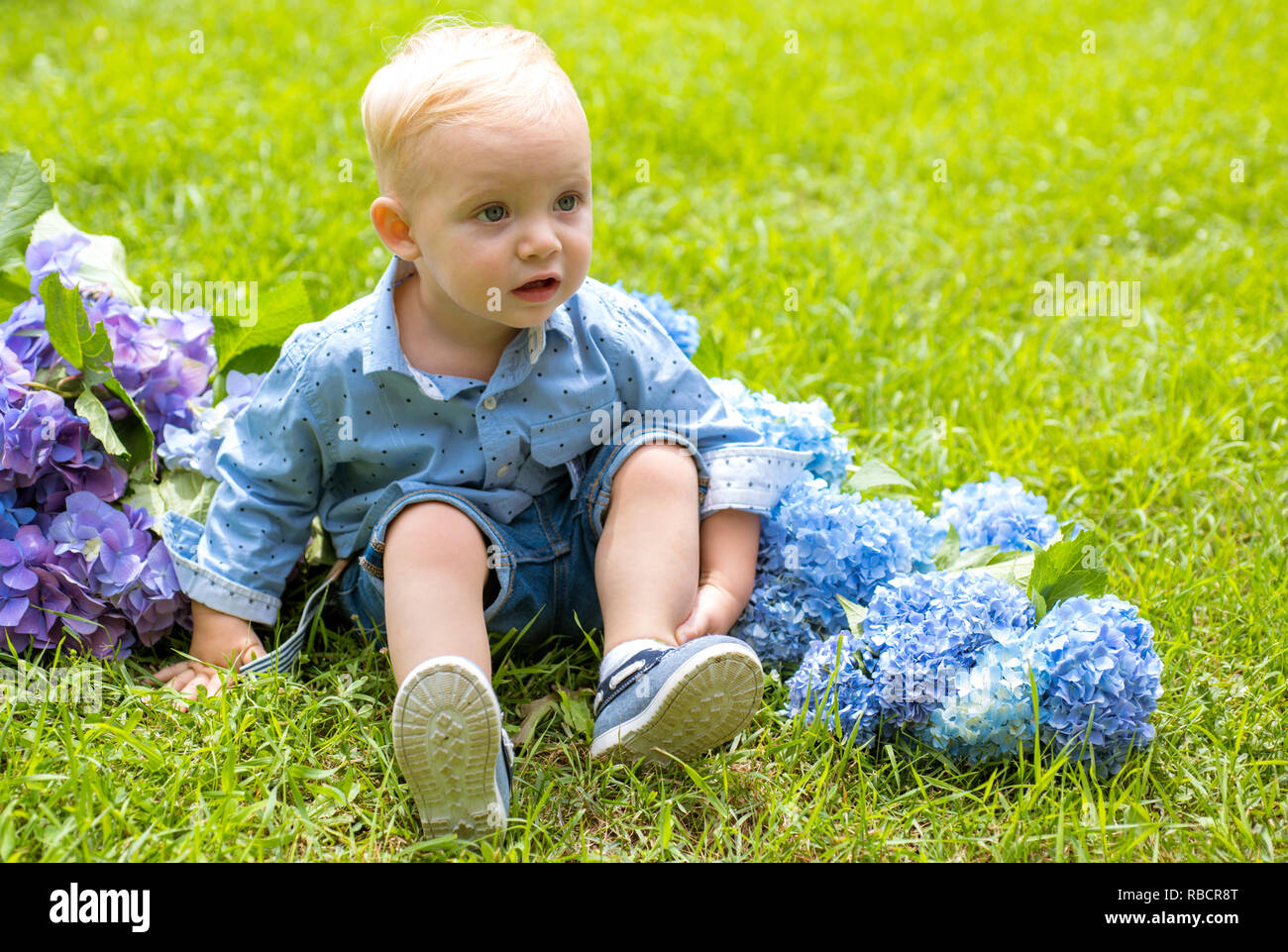 Spring flowers. Childhood. Childrens day. Small baby boy. New life ...