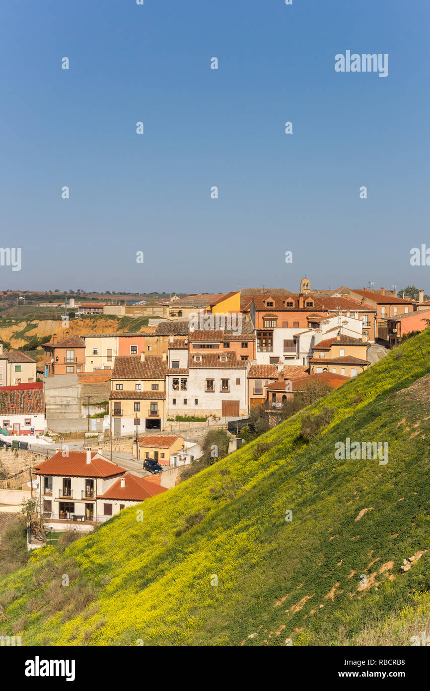 León y toro hi-res stock photography and images - Alamy