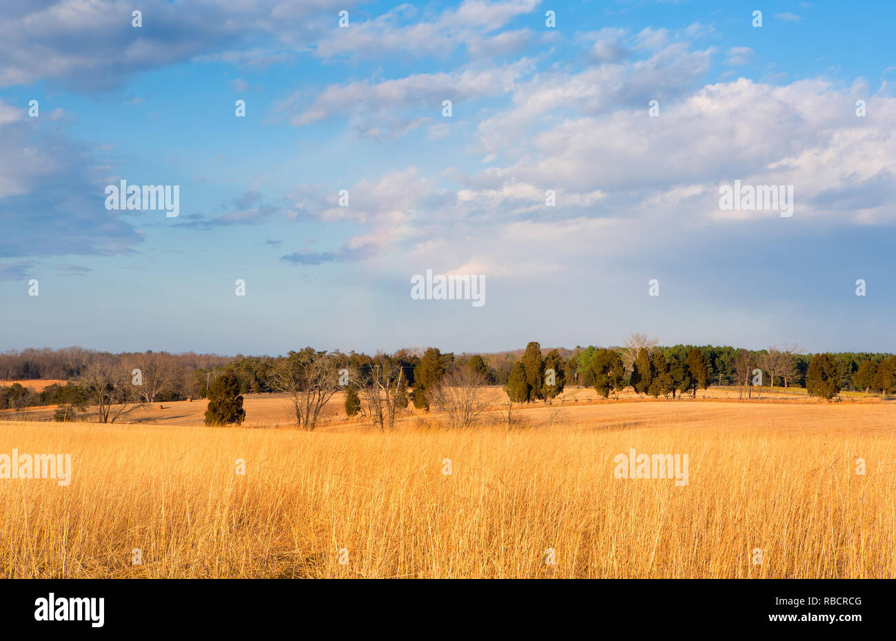 Landscape Meadow scene in northern VA USA Stock Photo - Alamy