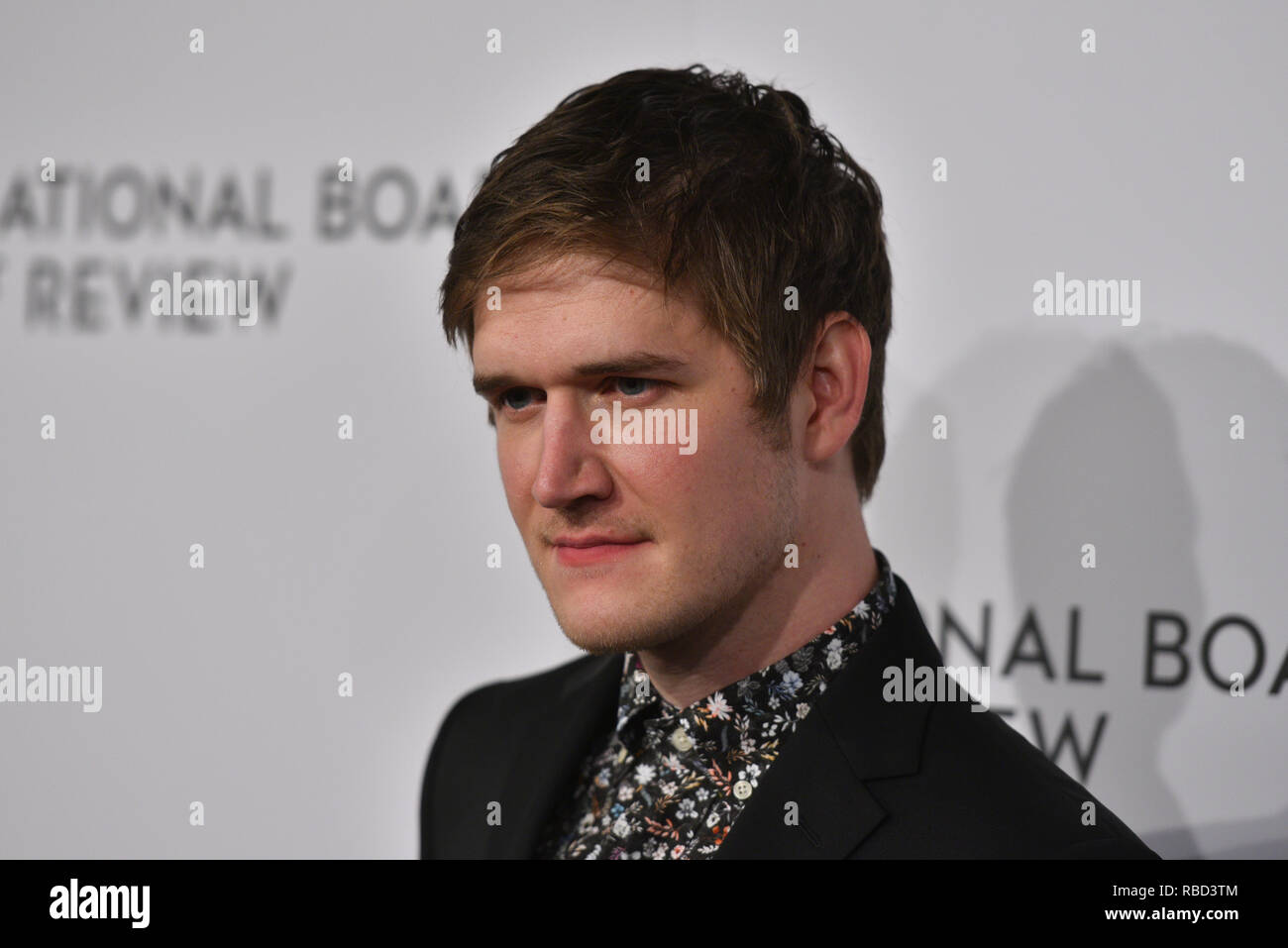 New York, USA. 8th Jan 2019. Bo Burnham attends the 2019 National Board ...