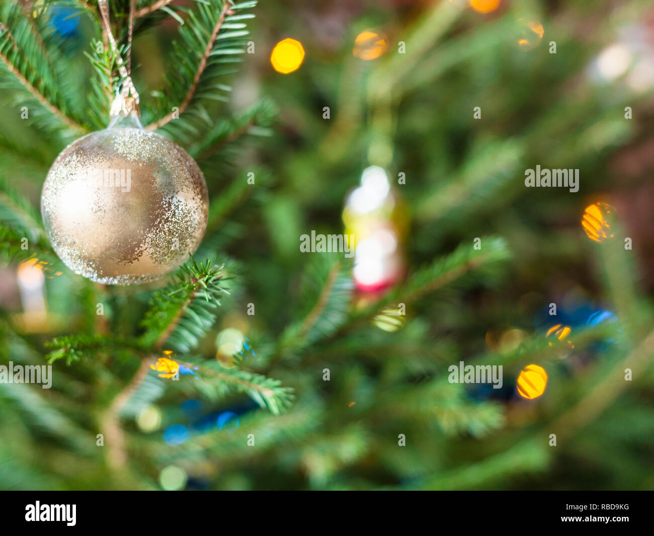 Live xmas tree hi-res stock photography and images - Alamy