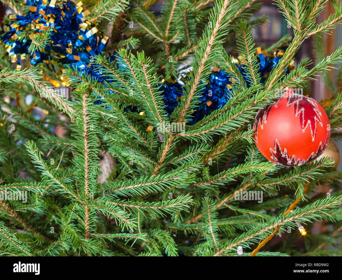 Live xmas tree hi-res stock photography and images - Alamy