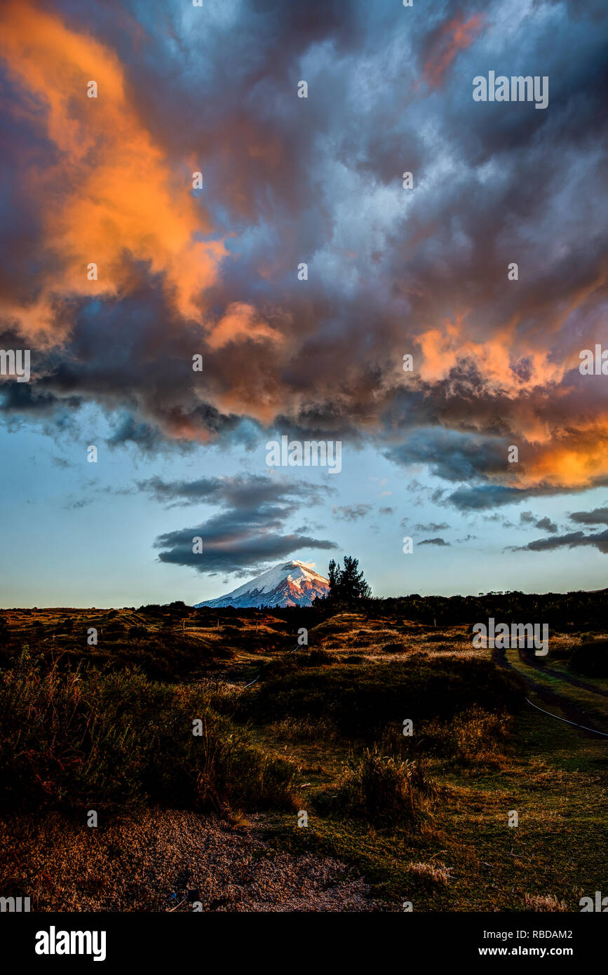Sunset in Ecuador's Cotopaxi National Park Stock Photo - Alamy