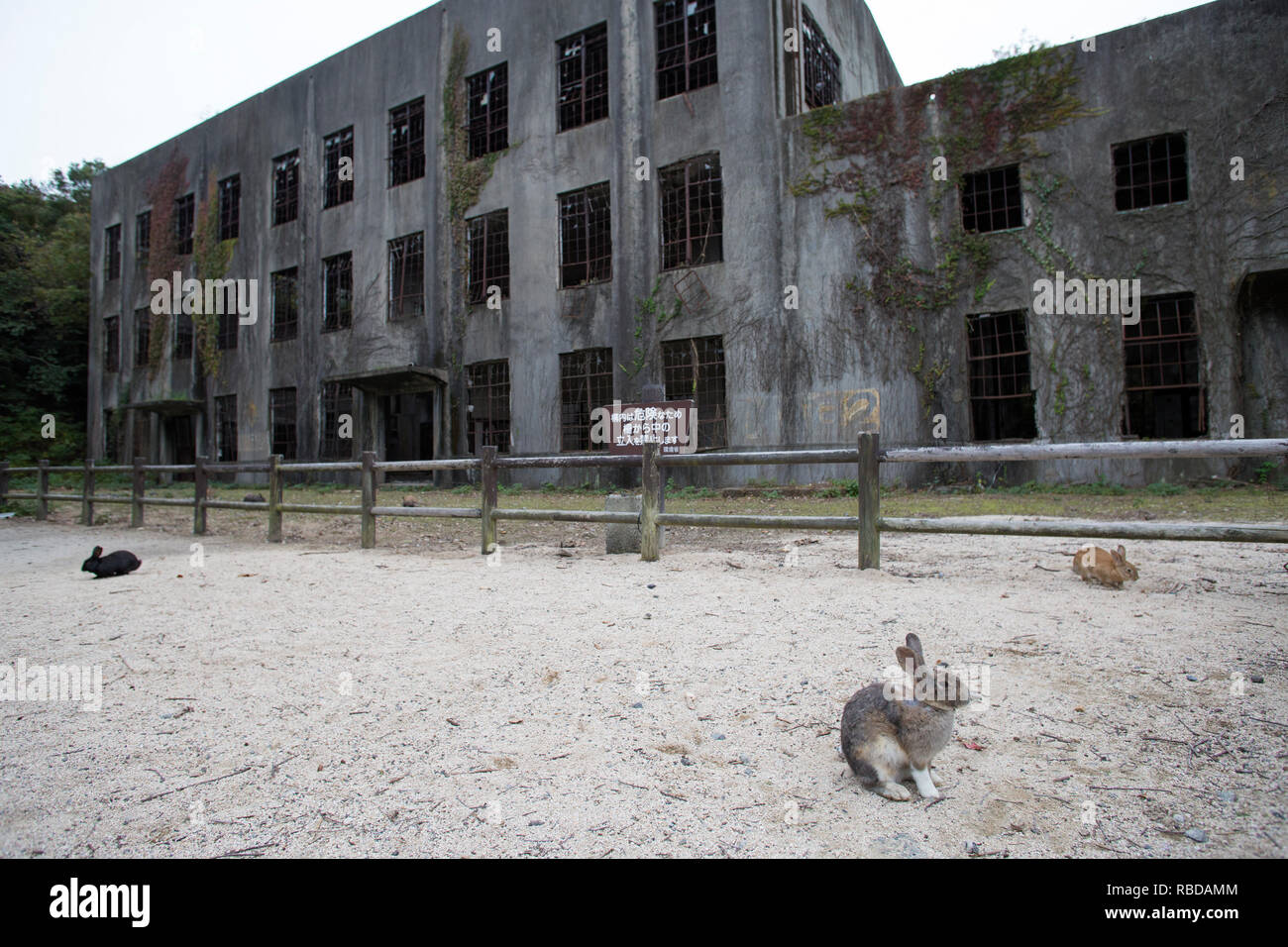 The ruins of the power plant in Okunojima island in Takehara, Hiroshima ...