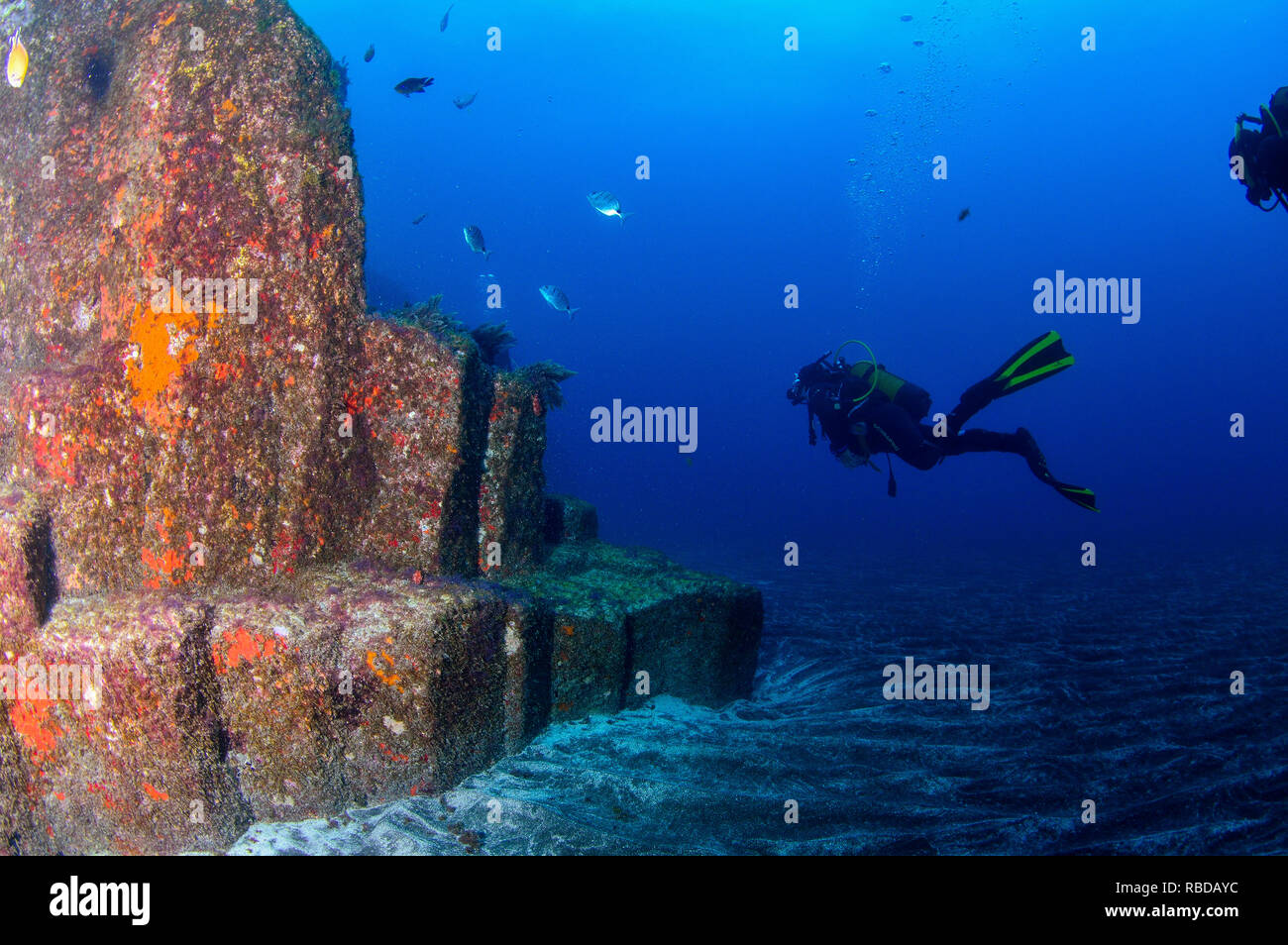 Scuba Diving in Tenerife - Canary Islands Stock Photo - Alamy