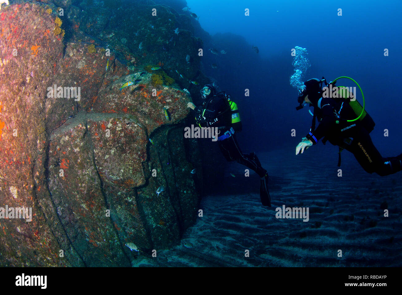 Scuba Diving in Tenerife - Canary Islands Stock Photo - Alamy