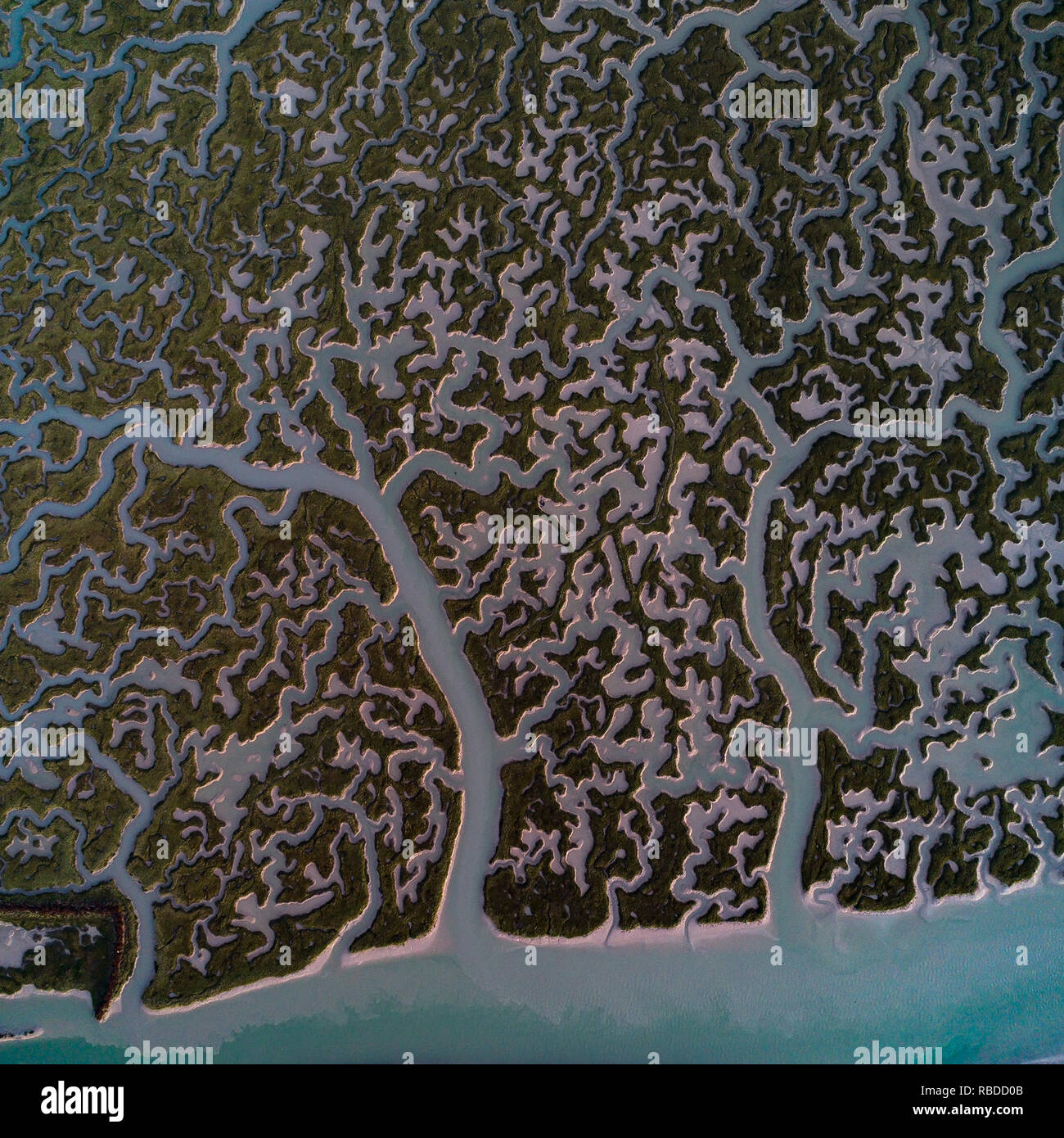 MARSHLAND OF CADIZ BAY AT BLUE HOUR Spain, Cadiz, Puerto Real, Isla ...