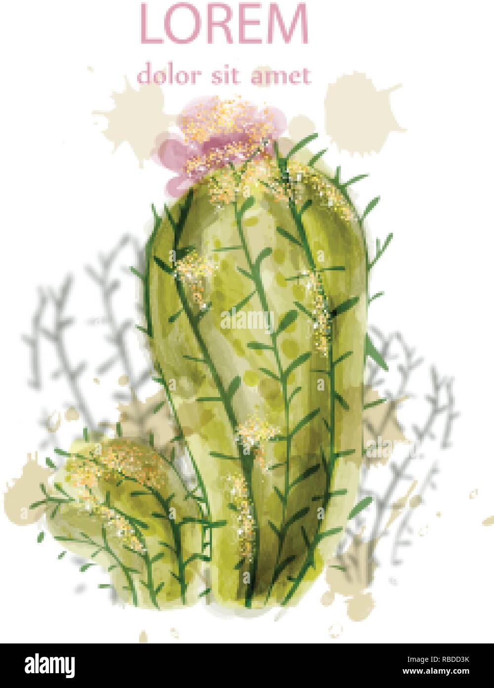 Cactus isolated watercolor. Summer exotic flower. Tropic collection ...