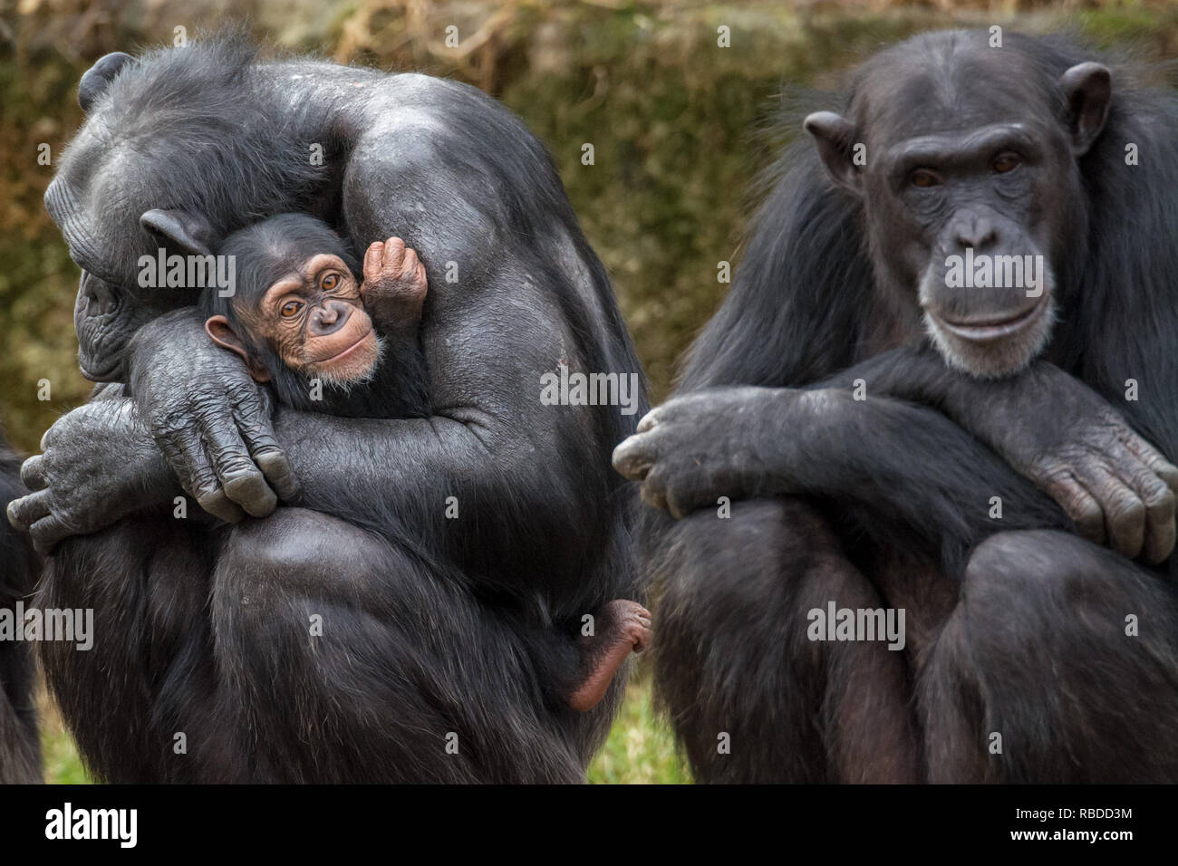 A MOTHER’S love is clear to see in this set of adorable pictures as a ...