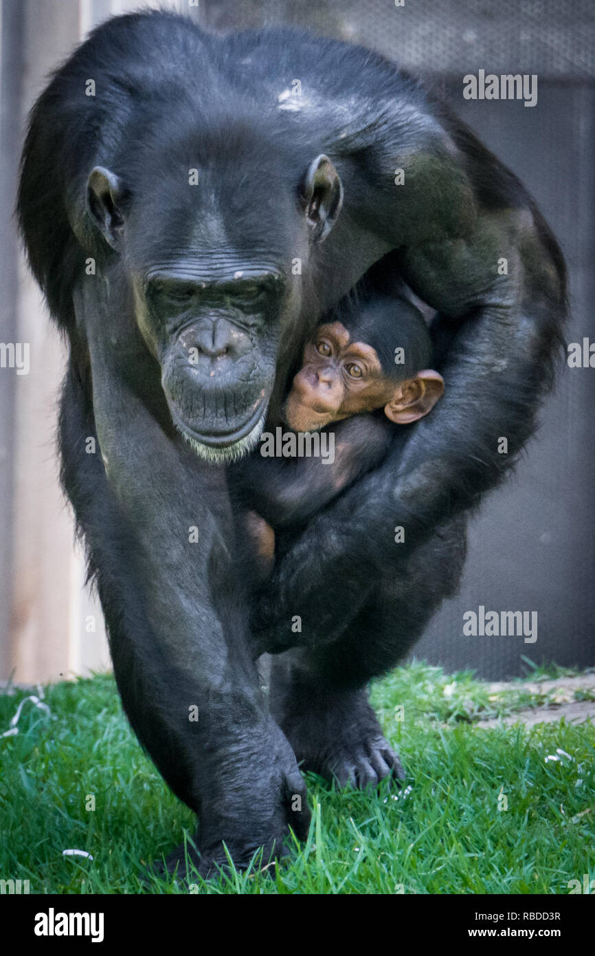 A MOTHER’S love is clear to see in this set of adorable pictures as a ...