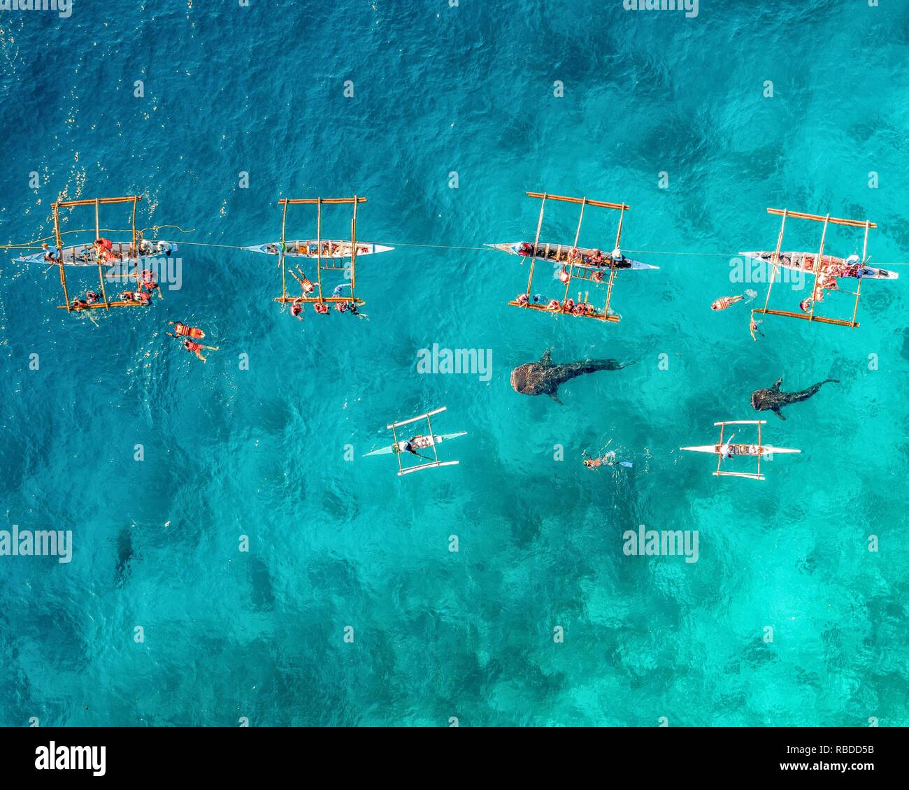 Bachir drone hi-res stock photography and images - Alamy