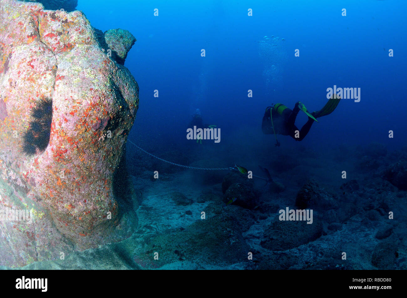 Scuba Diving in Tenerife - Canary Islands Stock Photo - Alamy