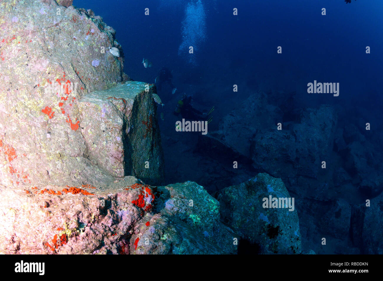 Scuba Diving in Tenerife - Canary Islands Stock Photo - Alamy