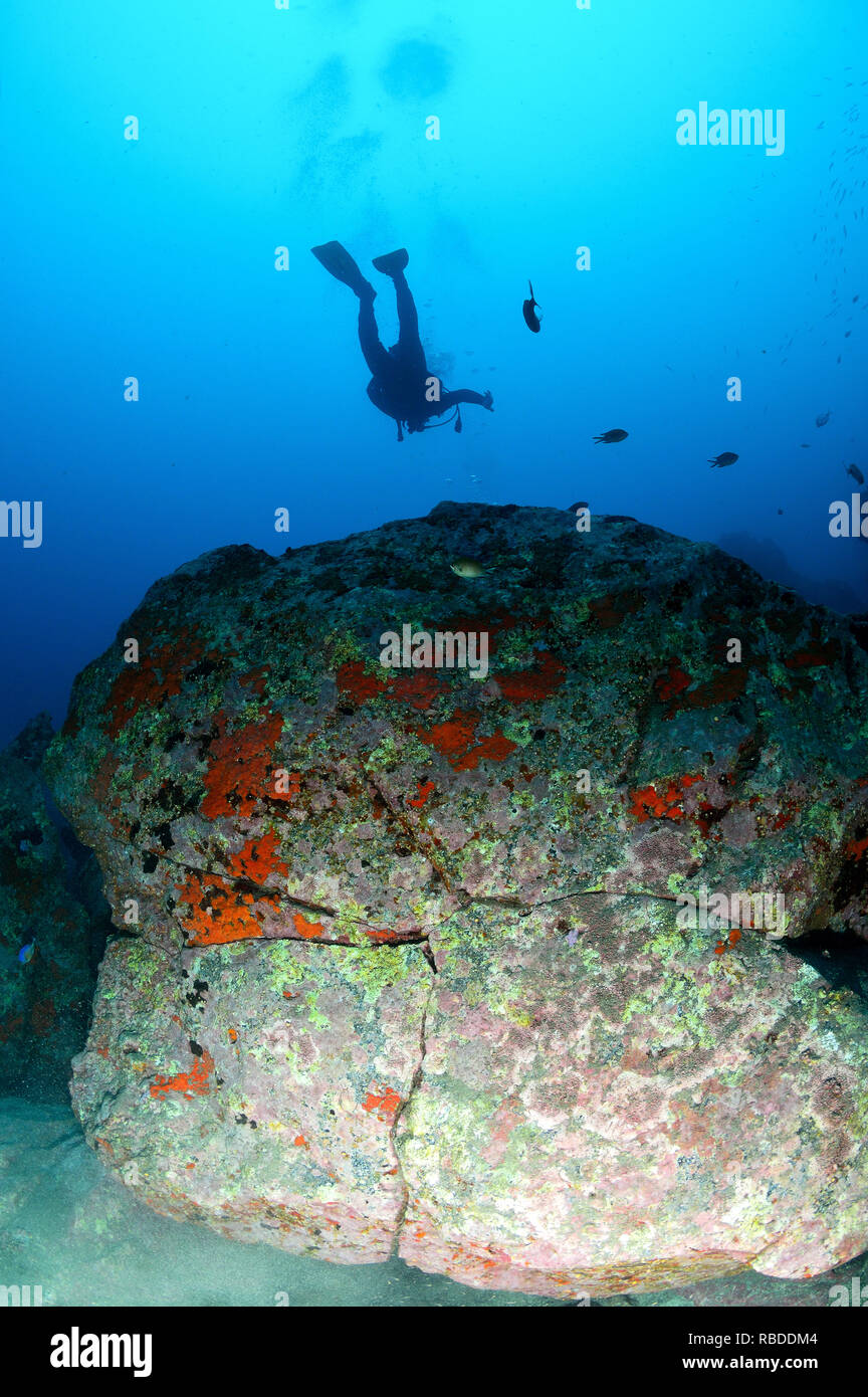 Scuba Diving in Tenerife - Canary Islands Stock Photo - Alamy