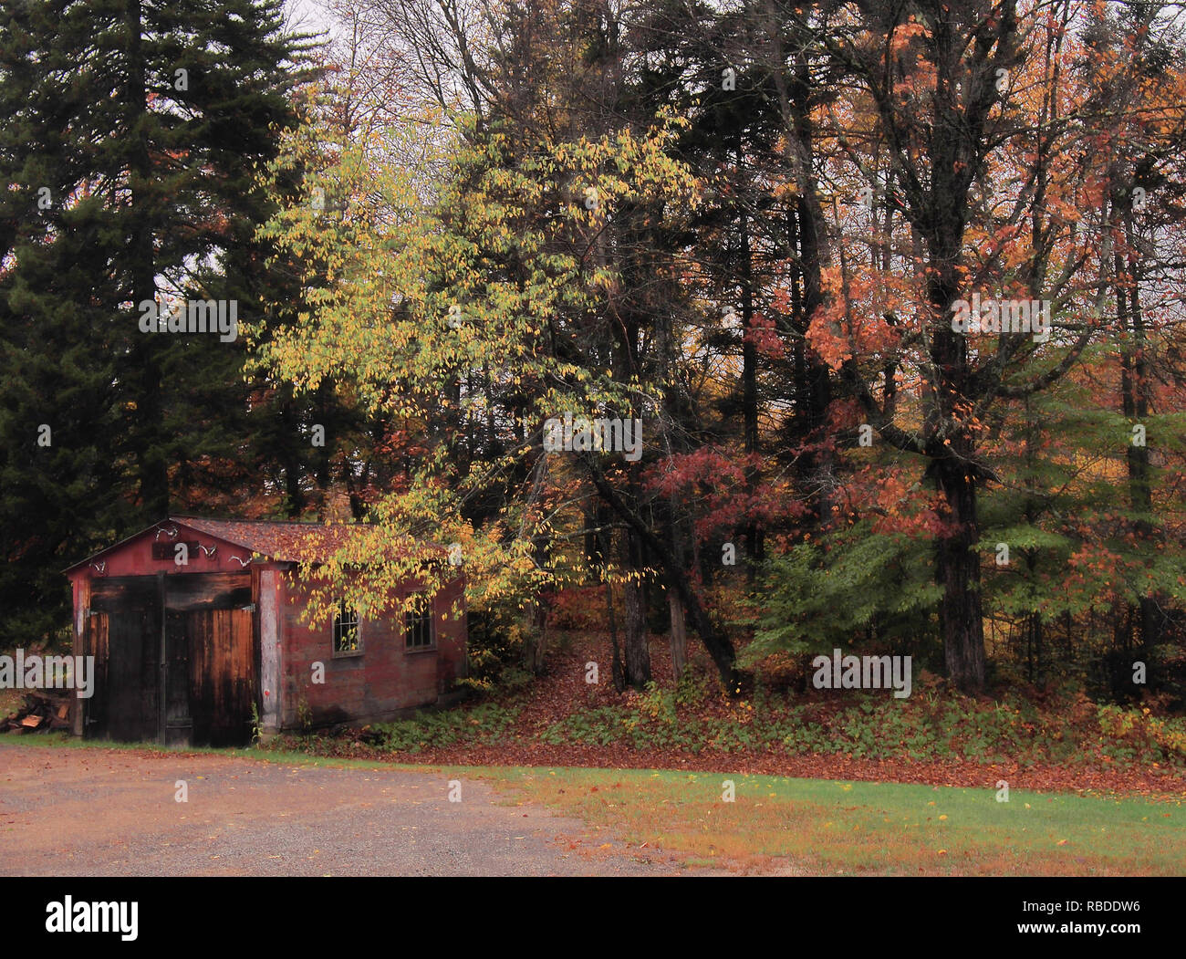 Adirondack shelter hi-res stock photography and images - Alamy