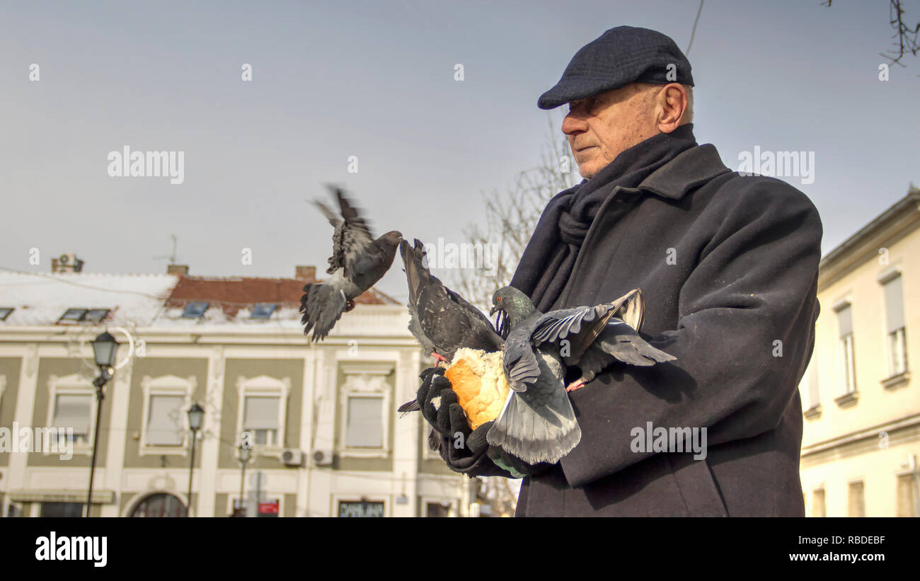 Belgrade, Serbia, Jan 2019 - Elderly gentleman, bird lover, feeding ...