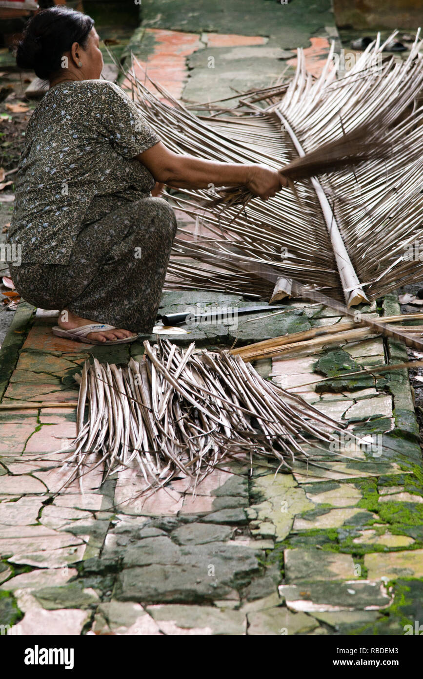 Cutting palm fronds in Vietnam Stock Photo - Alamy