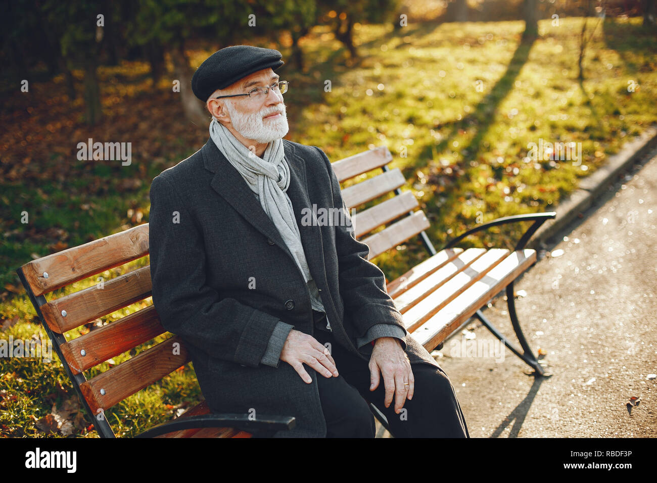 Elegant old man in a sunny autumn park Stock Photo - Alamy