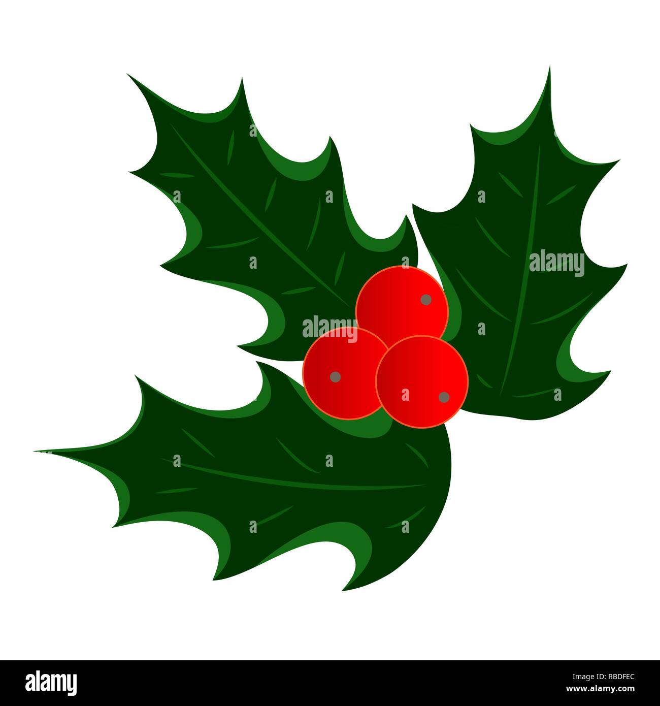 Holly berries bush Stock Vector Images - Alamy
