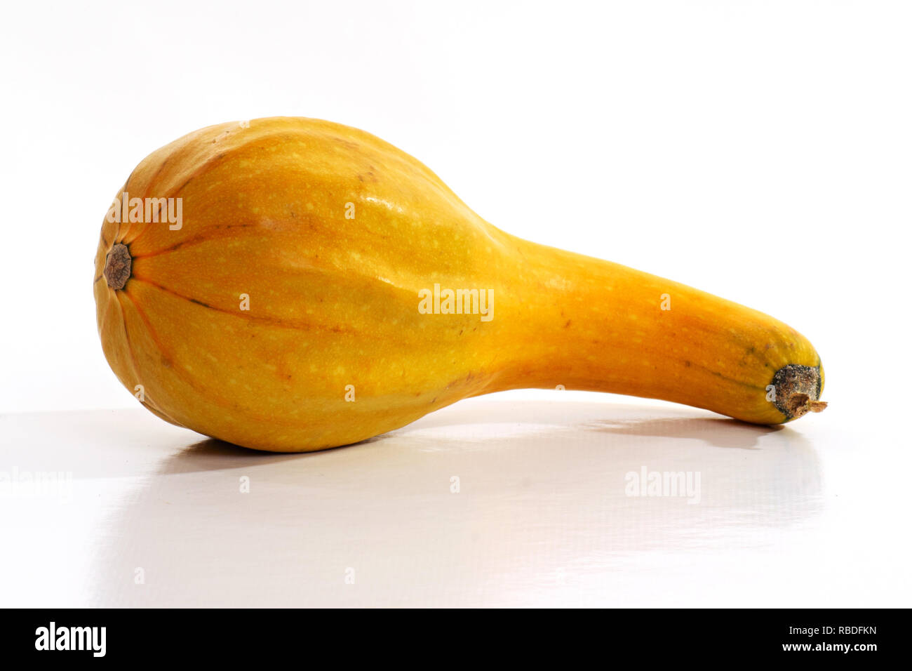 Ornamental_gourd hi-res stock photography and images - Alamy