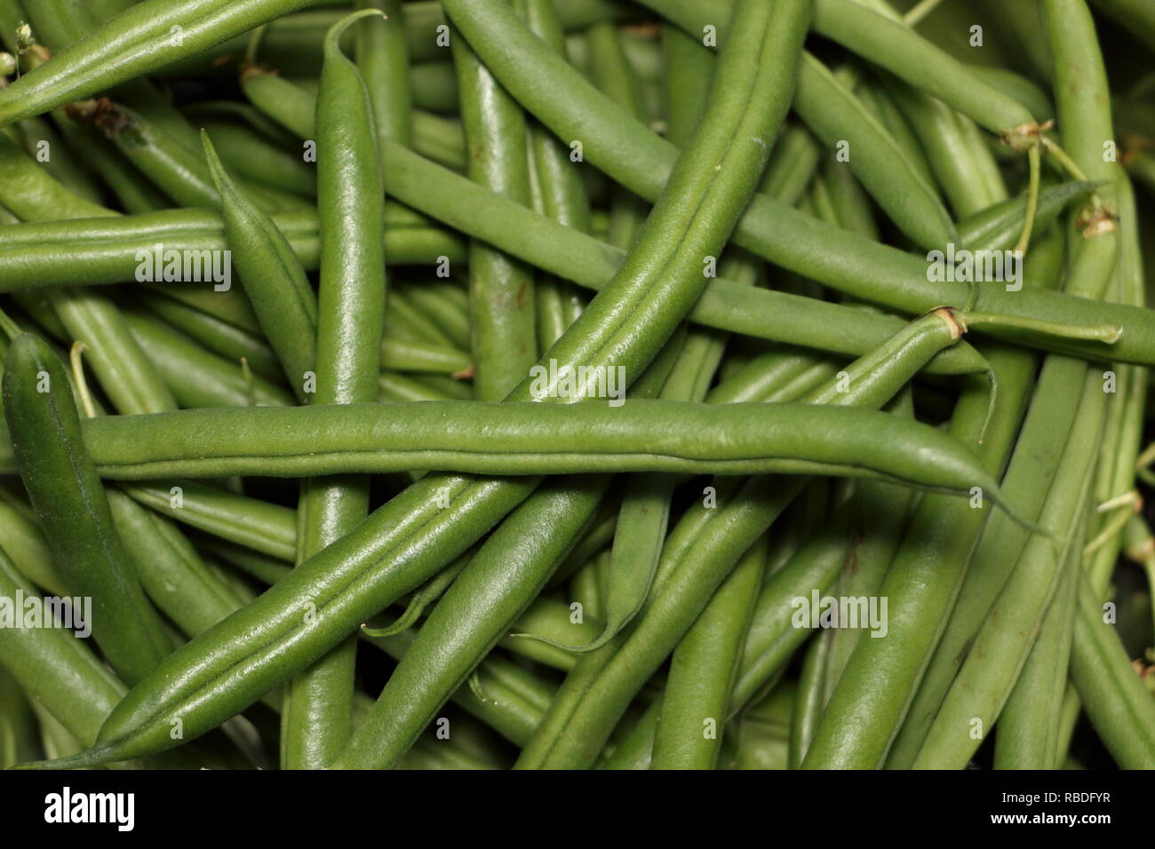 haricots fresh raw green and uncooked Stock Photo - Alamy