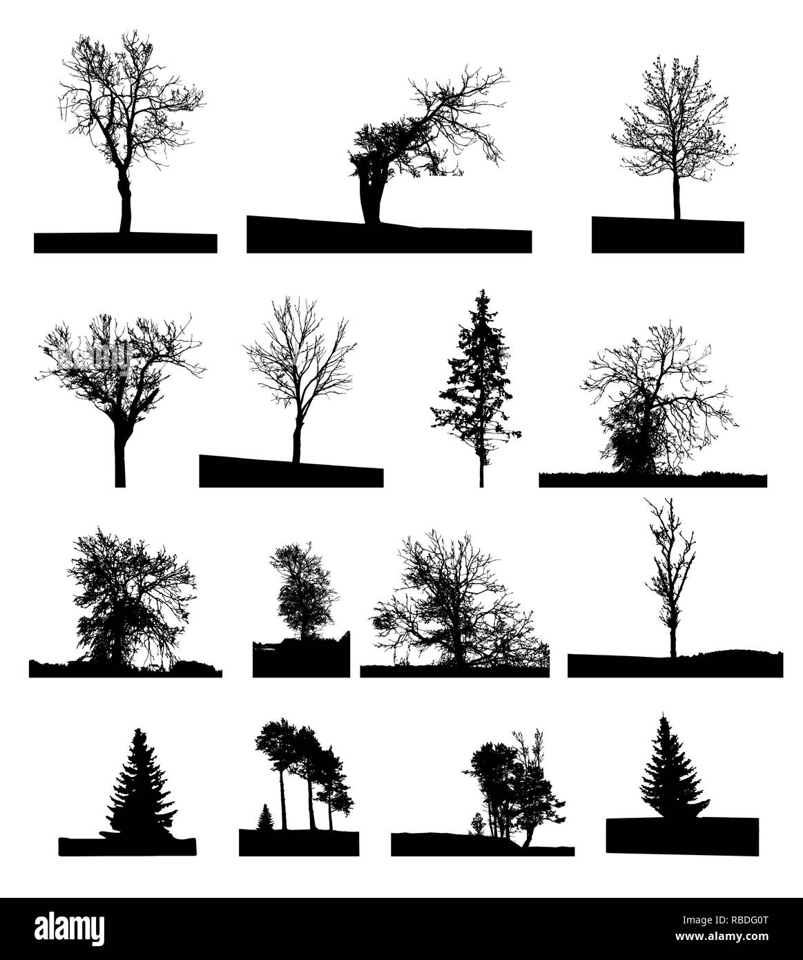 Set of Tree Isolated on White Background. Vector Illustration. EPS10 ...