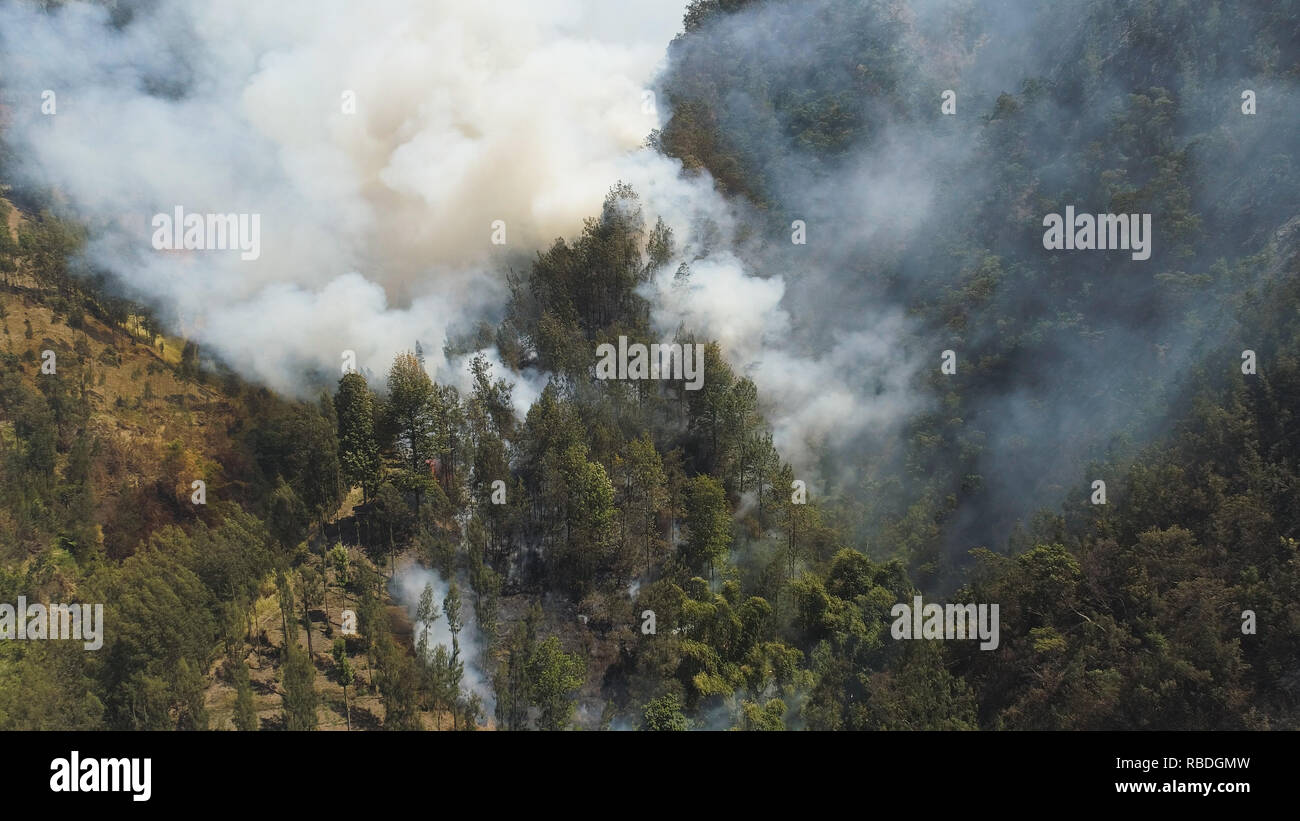 fire in mountain forest. aerial view forest fire and smoke on slopes ...
