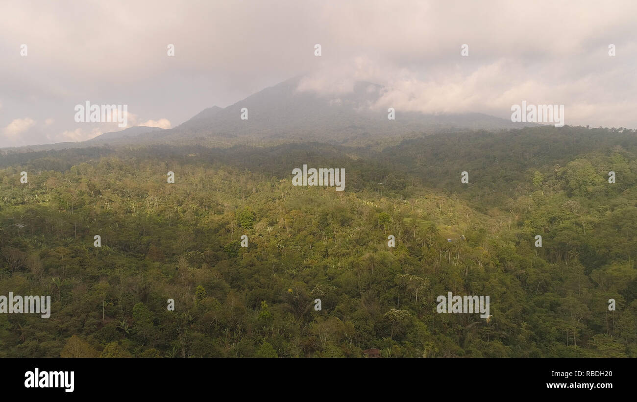 aerial view jungle, rainforest in mountains. tropical forest with trees ...