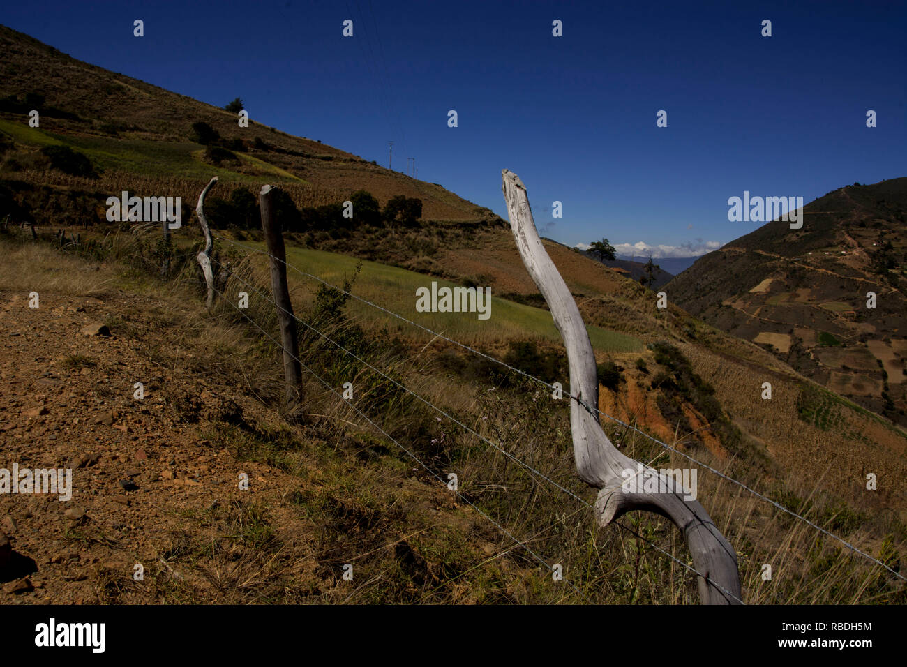 Countryside venezuela hi-res stock photography and images - Alamy
